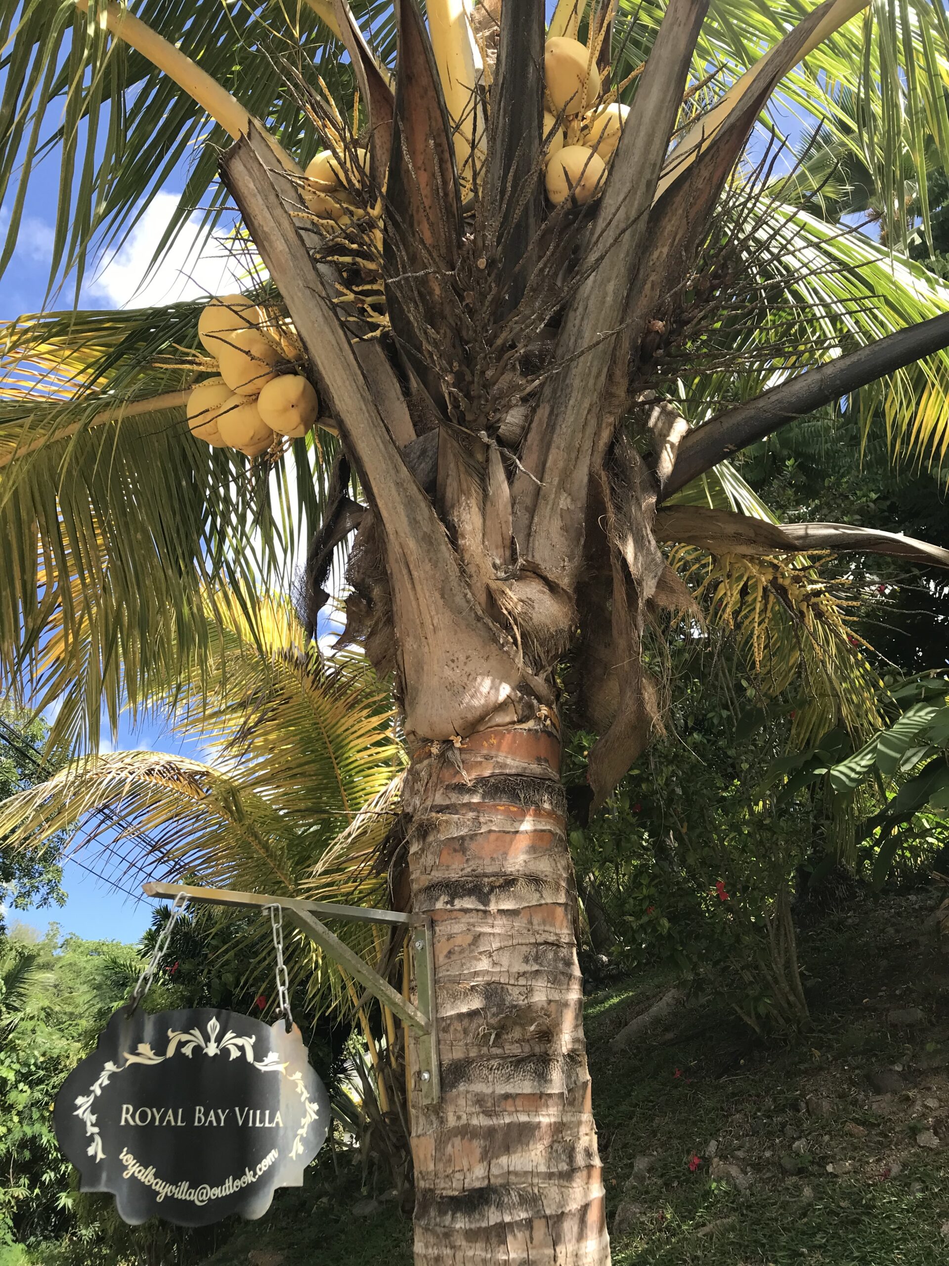 Gallery - Royal Bay Villa & Apartment